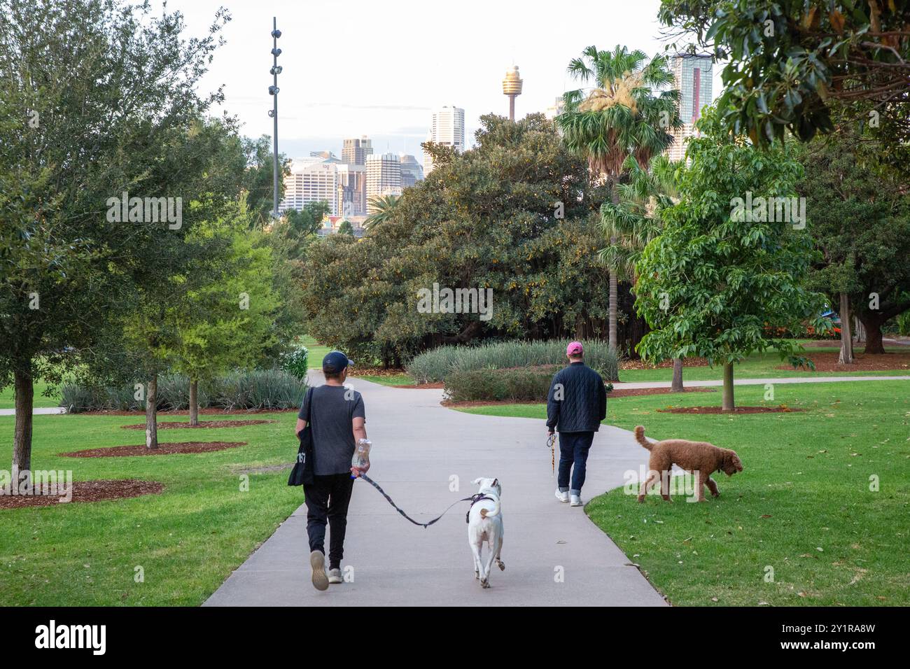 Victoria Park, Camperdown, Sydney, NSW, Australia Stock Photo - Alamy