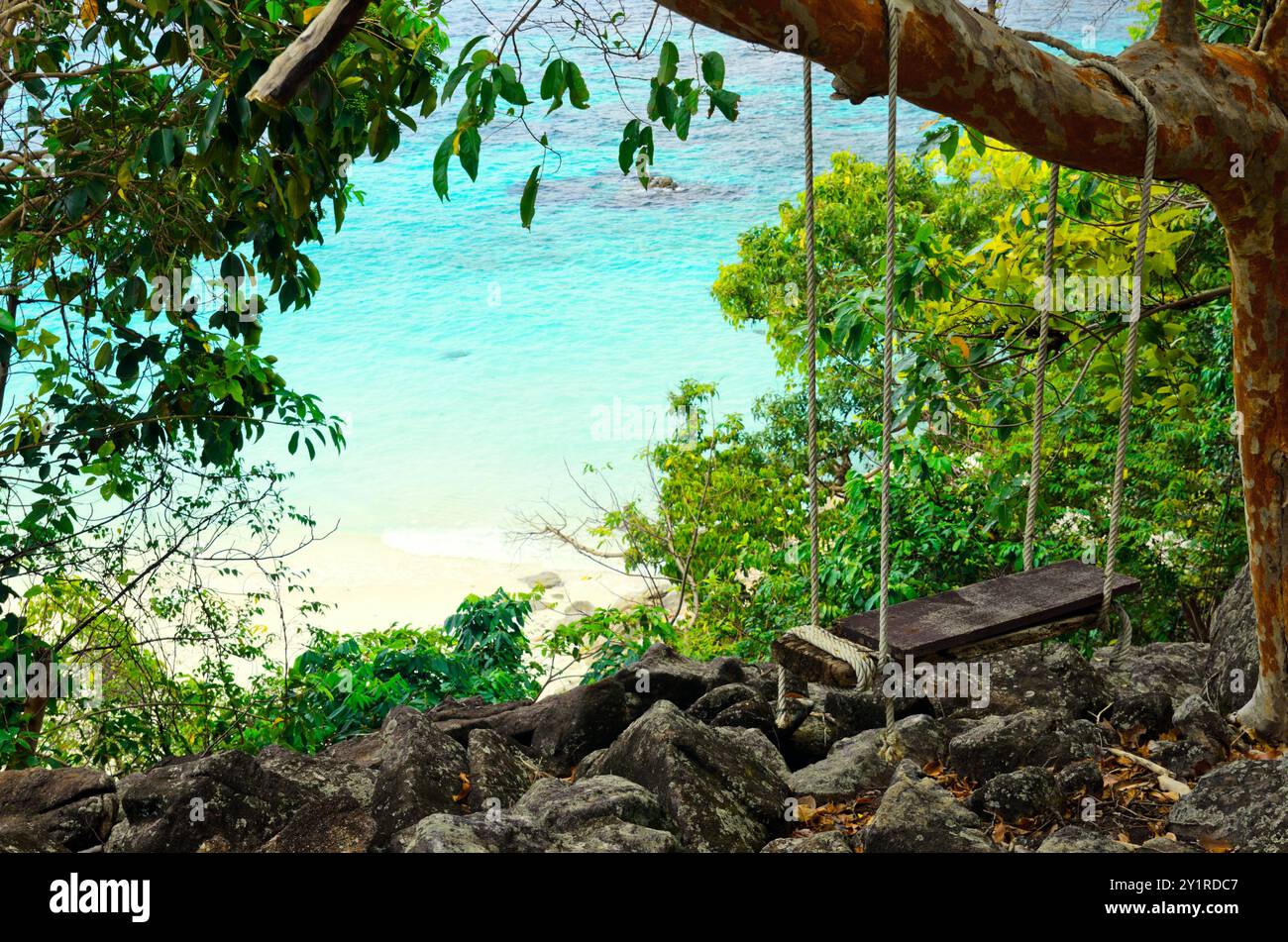 Green jungle on beach background Stock Photo - Alamy