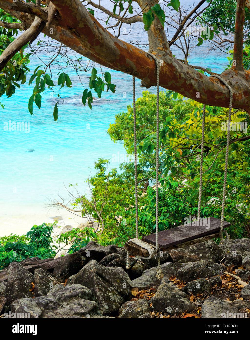 Green jungle on beach background Stock Photo - Alamy