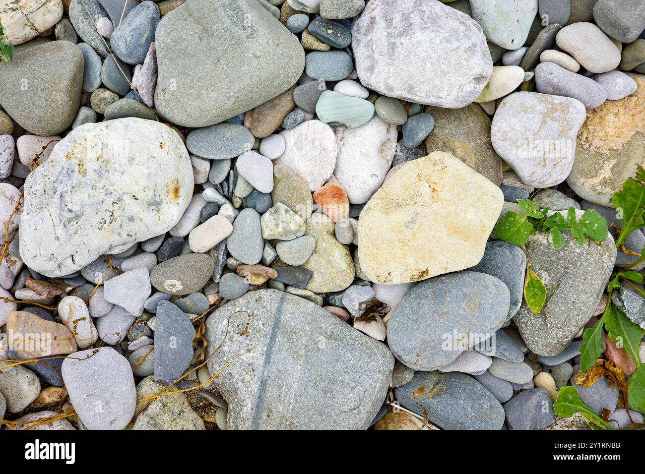 Unique beach stones hi-res stock photography and images - Alamy