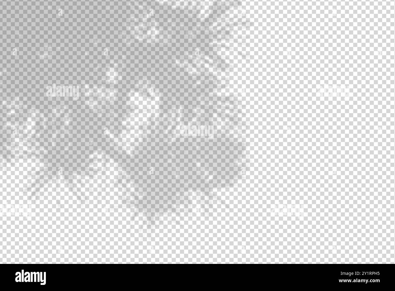 Shadow overlay from a pine tree branch isolated on a transparent ...