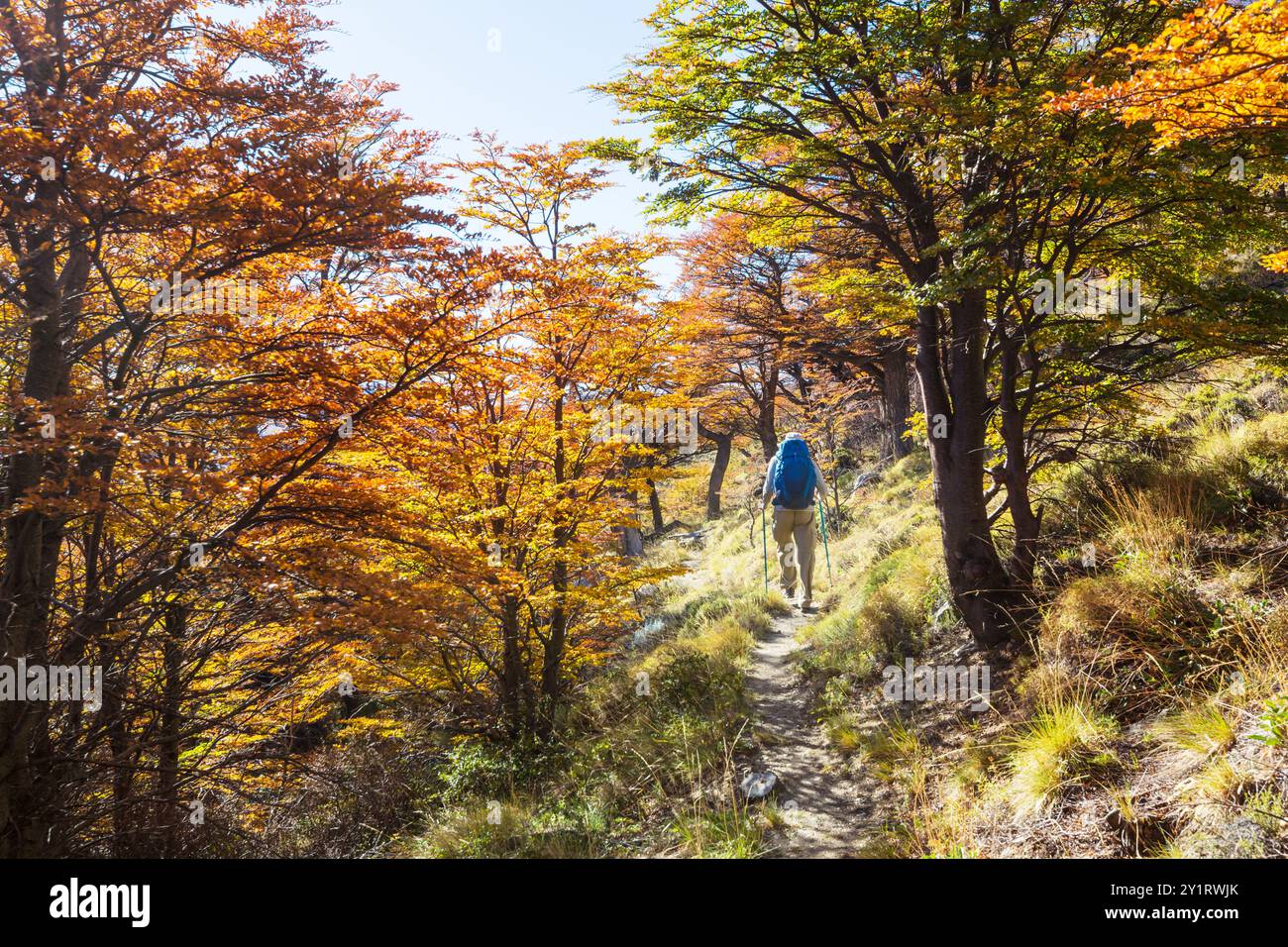 Hike in the autumn mountains. Fall season theme Stock Photo - Alamy