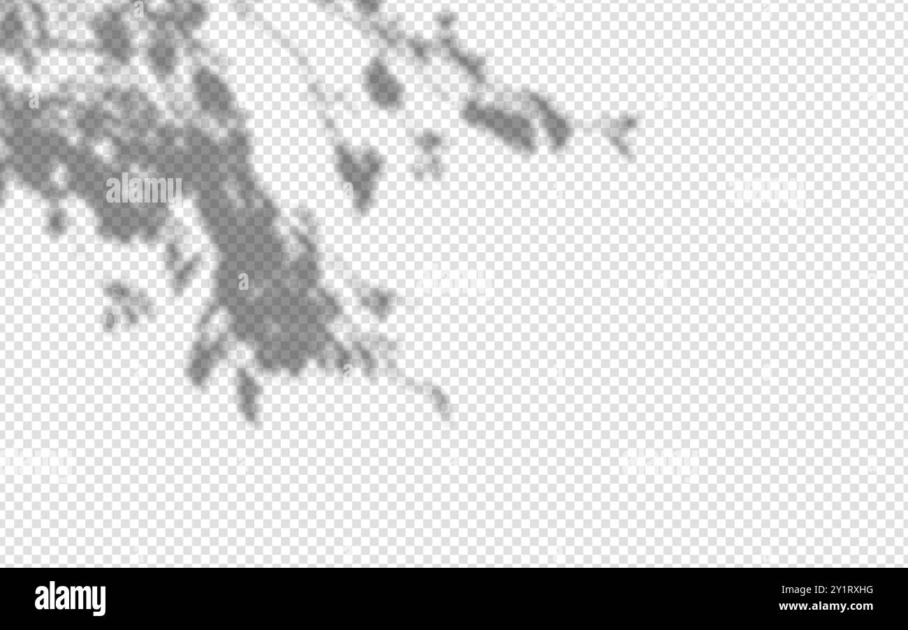 Shadow overlay from a tree branch isolated on a transparent background ...