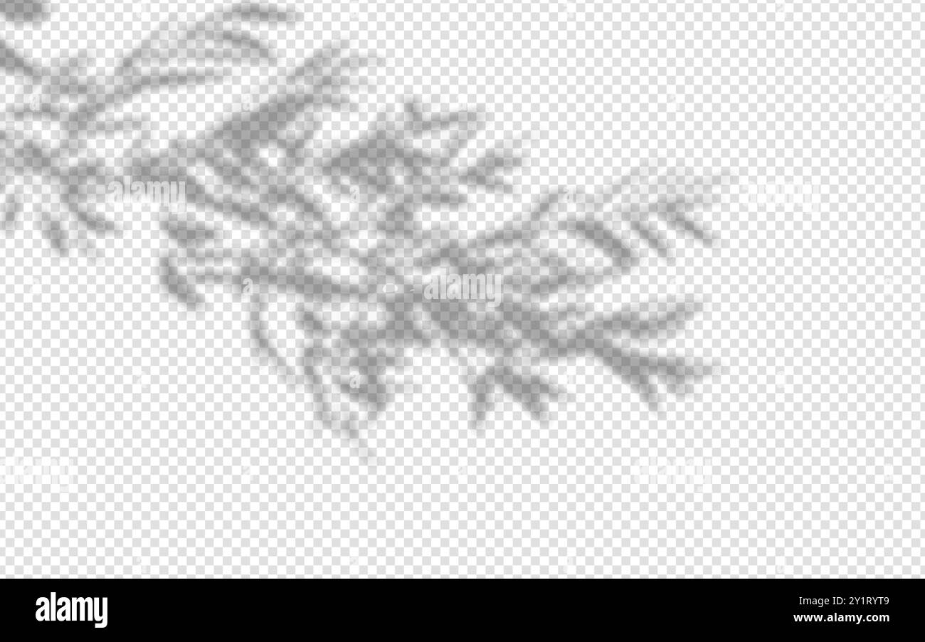 Shadow overlay from a tree branch isolated on a transparent background ...