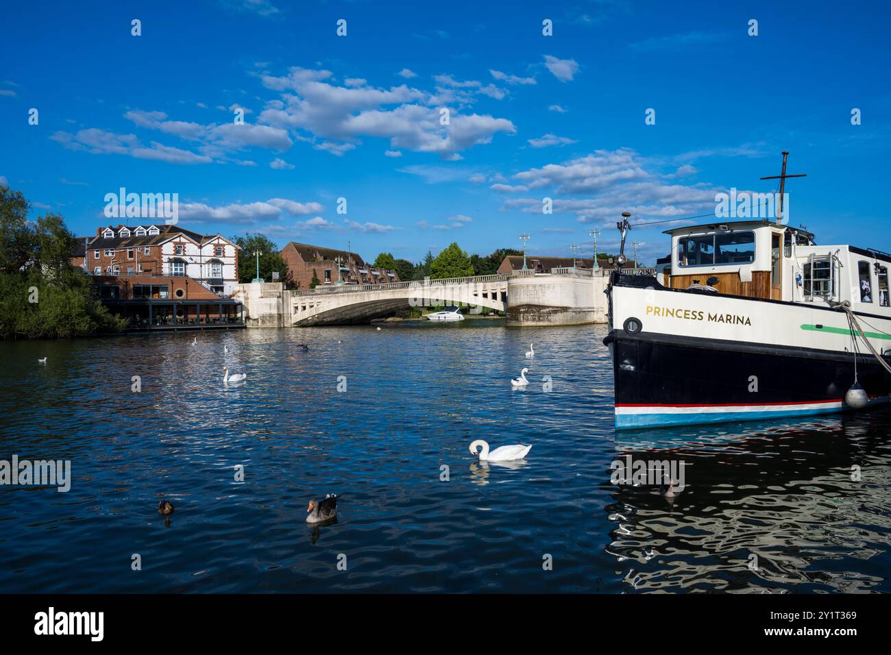 Swans and Princess Marina, Boat, with Caversham Bridge, River Thames ...