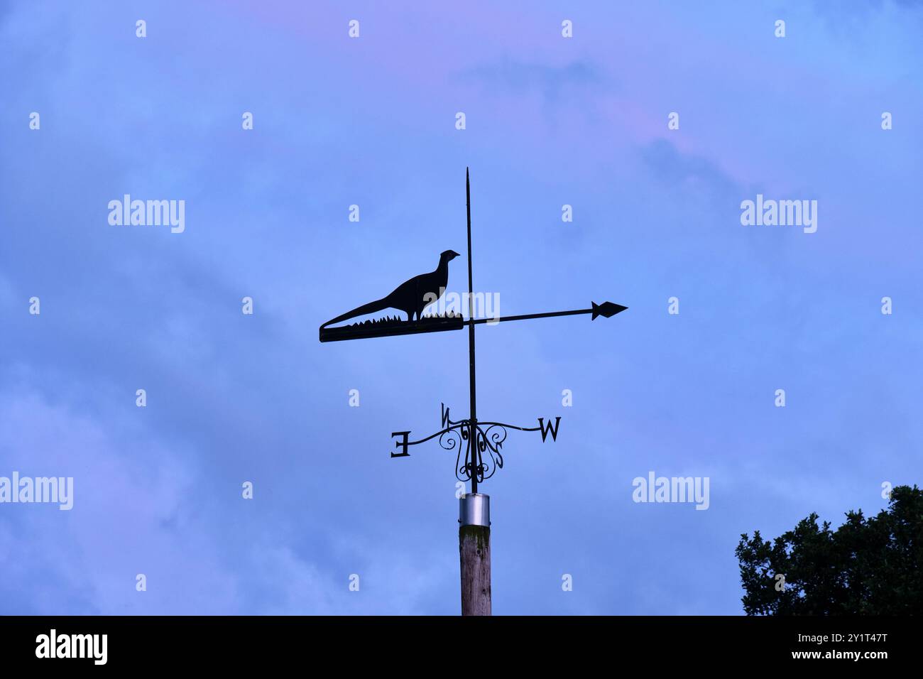 Tall weather vane hi-res stock photography and images - Alamy