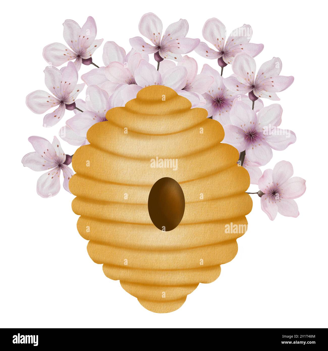 Beehive watercolor. Hand drawn bee house with flowers on isolated white ...