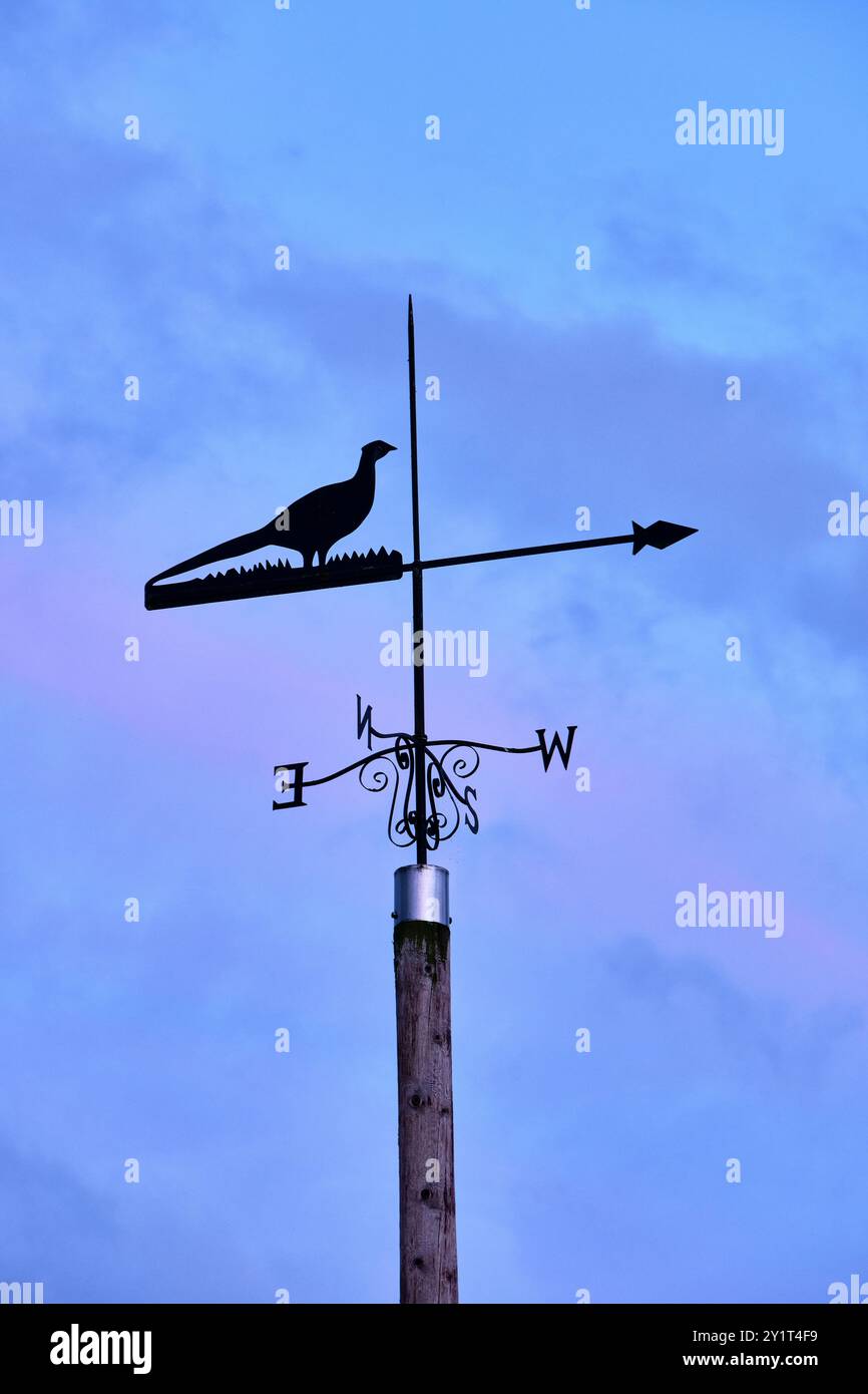 Tall weather vane hi-res stock photography and images - Alamy