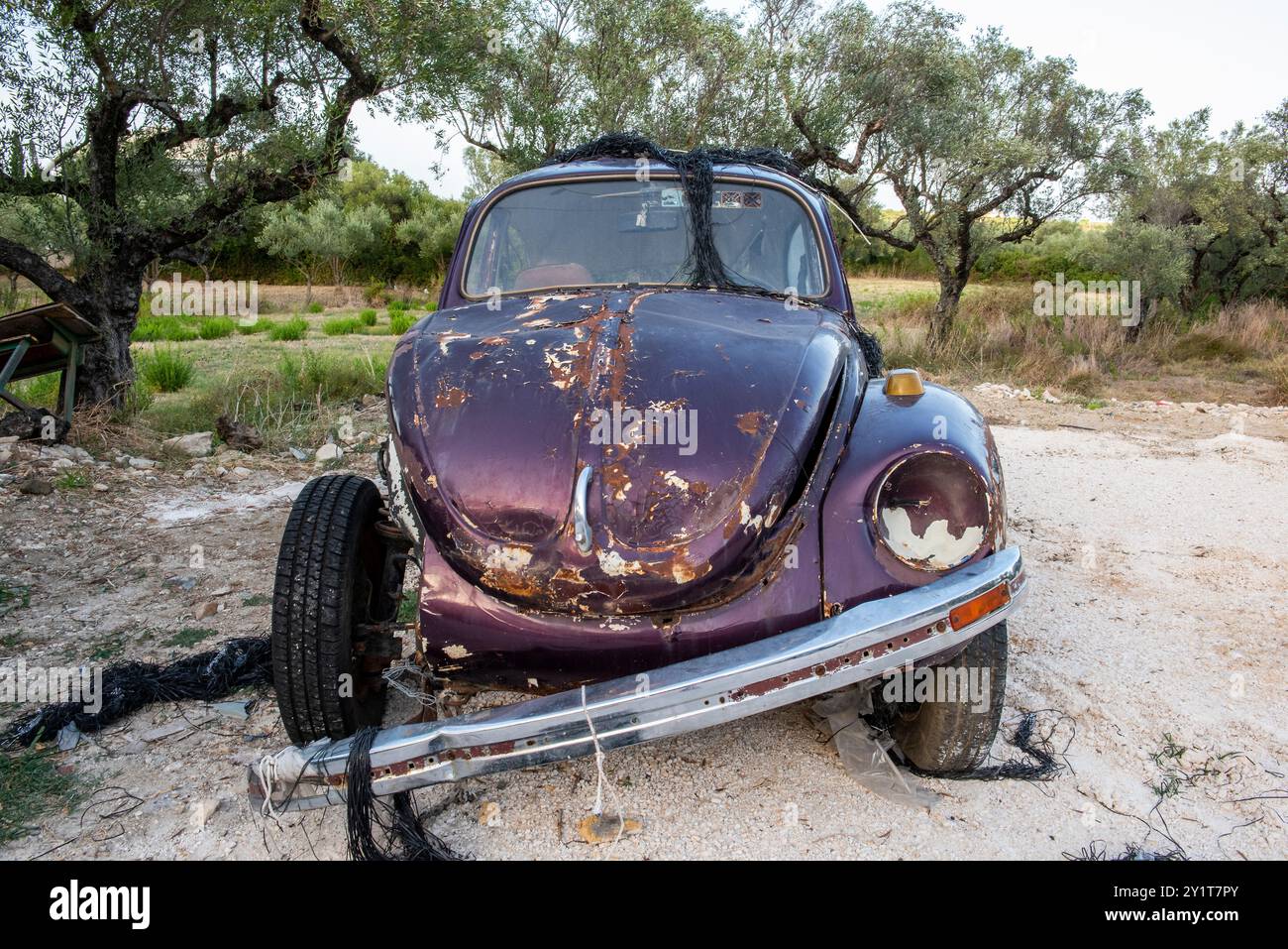 dilapidated vw beetle motor car at a scrapyard being used for spare ...