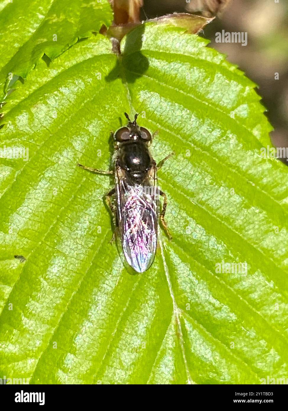 Pitheads hi-res stock photography and images - Alamy