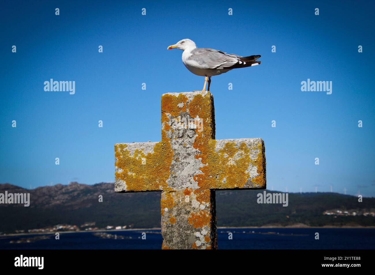 Ria muros y noia hi-res stock photography and images - Alamy