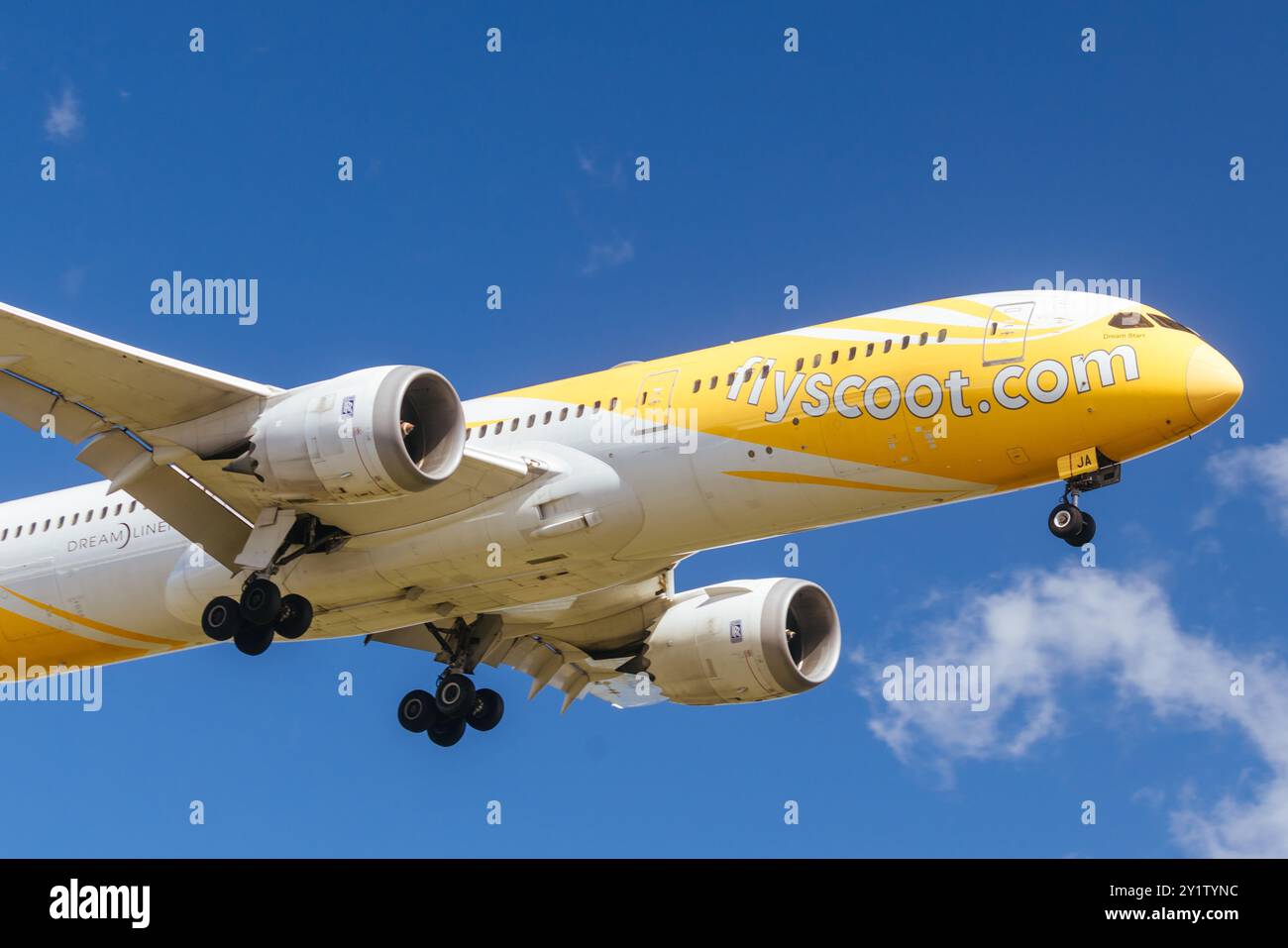 Scoot Boeing 787-9 Dreamliner Landing in Melbourne Stock Photo - Alamy