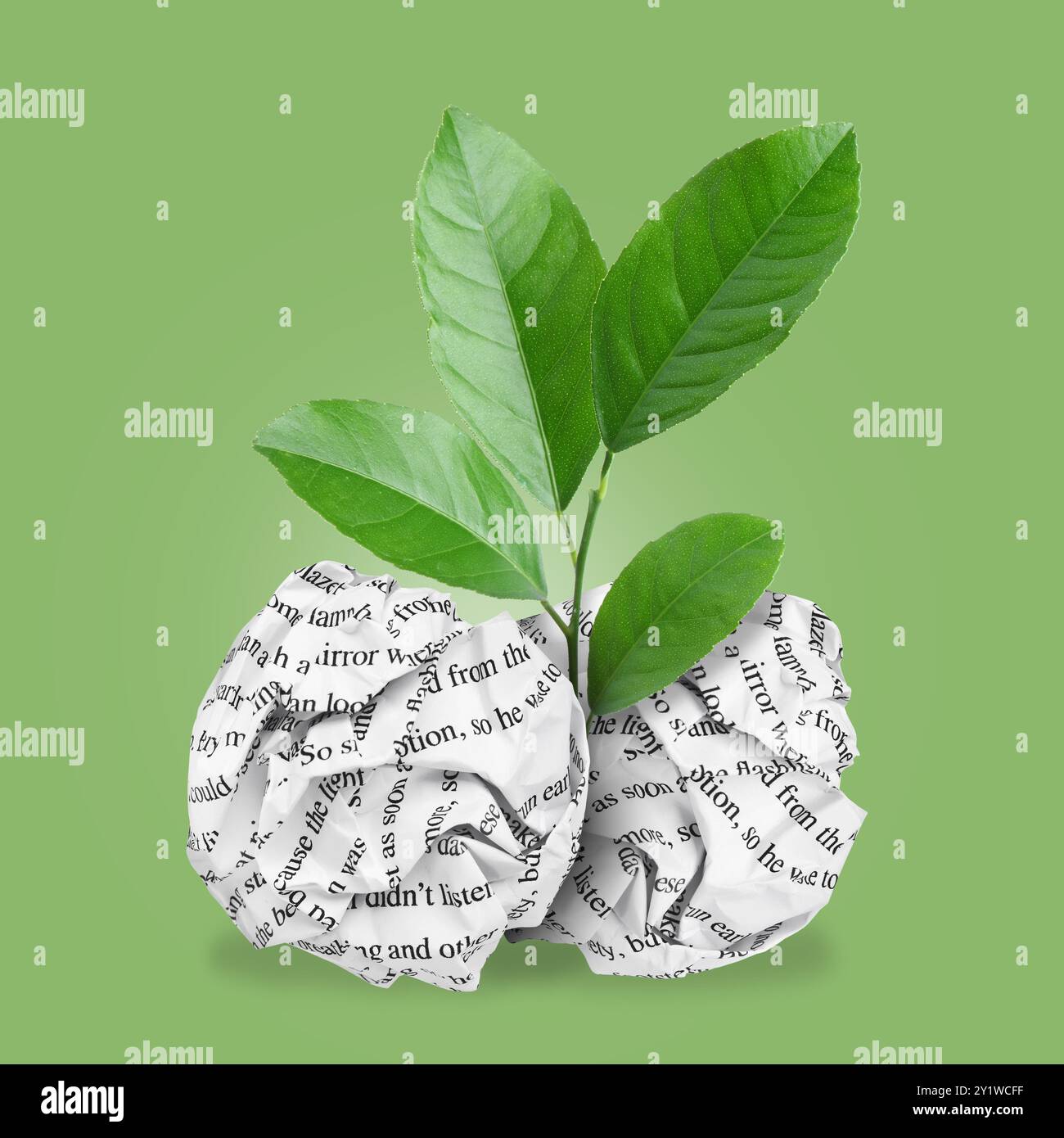 Seedling with leaves growing from crumpled paper balls on green ...