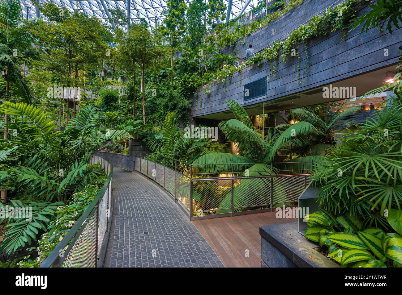 Singapore - Jun 13 2024 : The Rain Vortex, a 40m-tall indoor waterfall ...