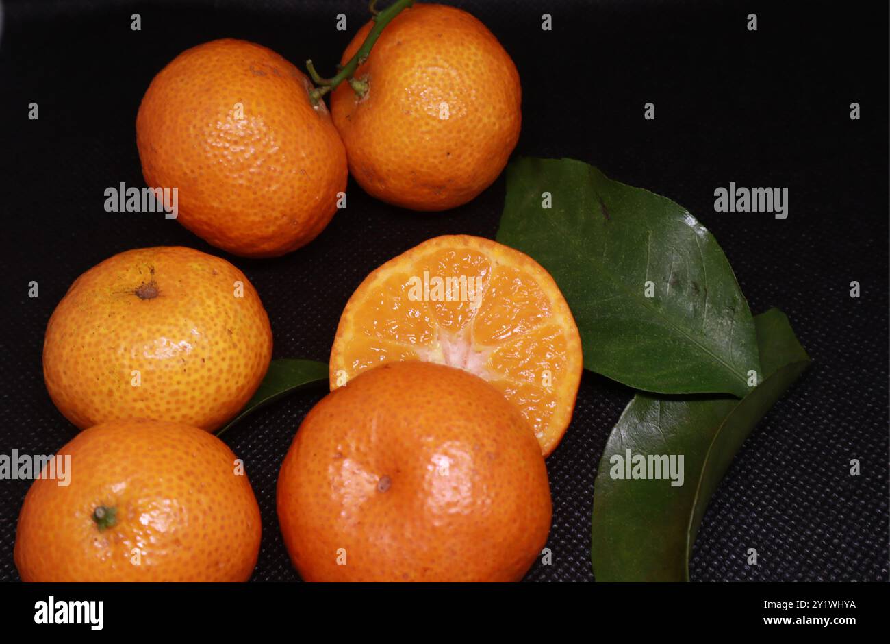 A vibrant citrus fruit, the bitter orange stands out against a stark ...