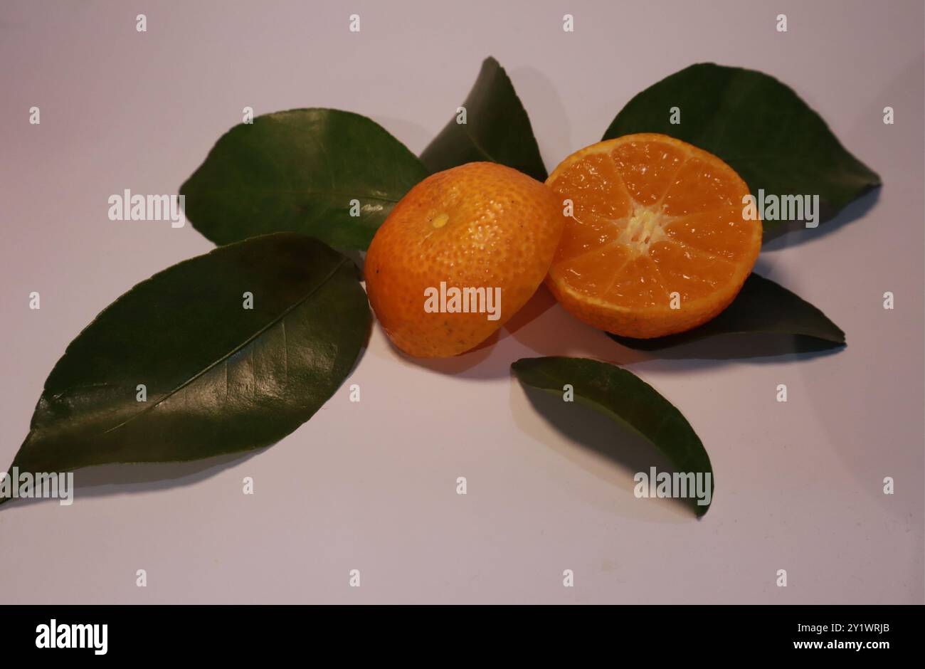 A vibrant citrus fruit, the bitter orange stands out against a stark ...