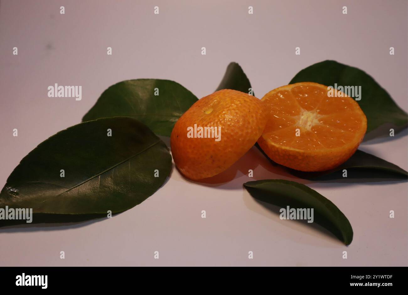 A vibrant citrus fruit, the bitter orange stands out against a stark ...
