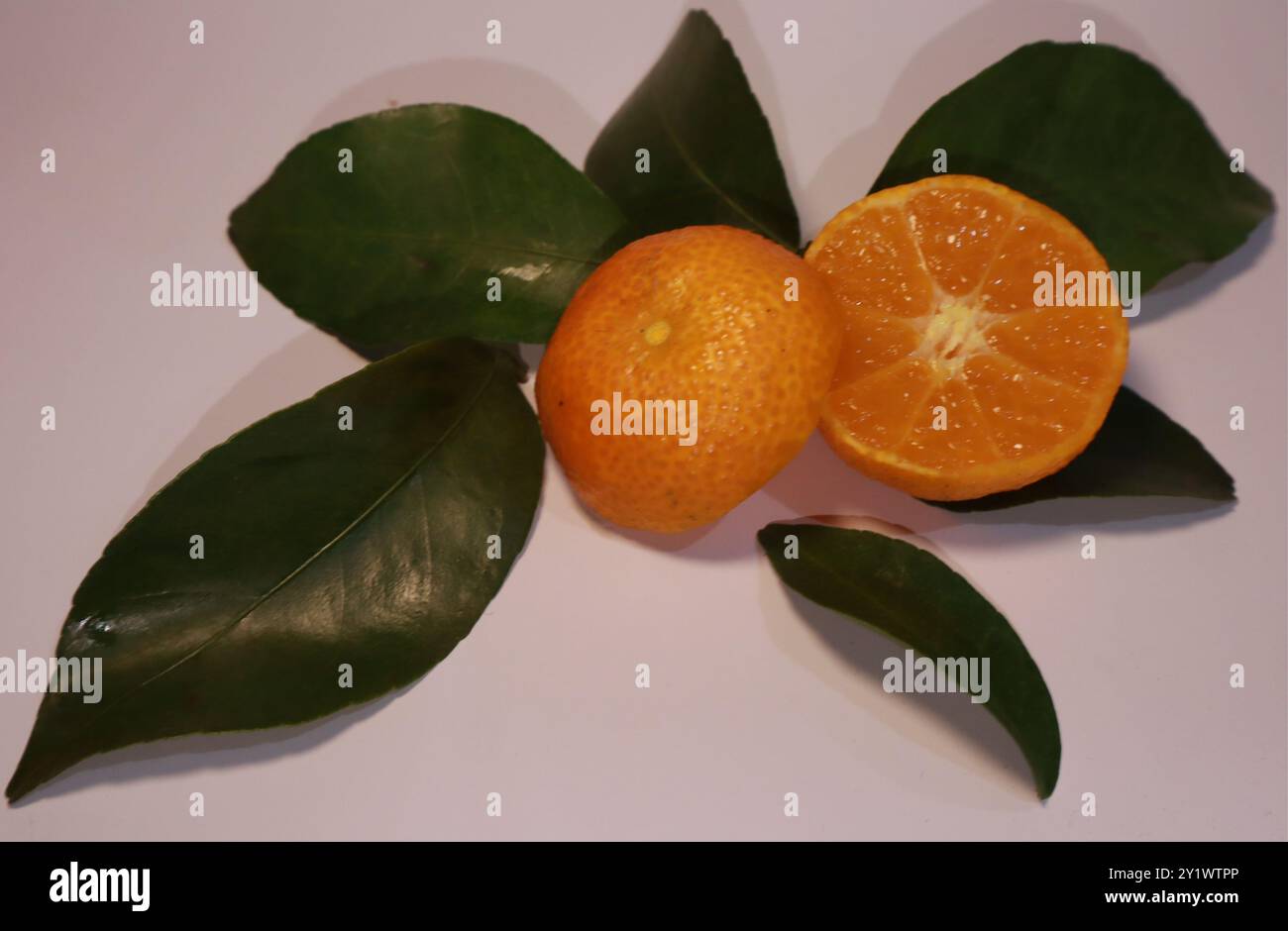 A vibrant citrus fruit, the bitter orange stands out against a stark ...