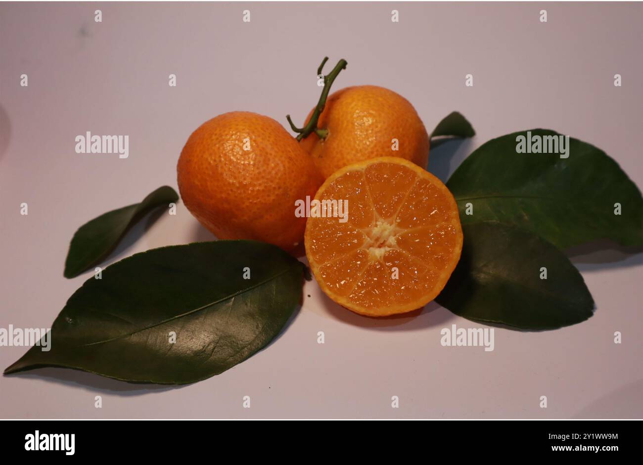 A vibrant citrus fruit, the bitter orange stands out against a stark ...