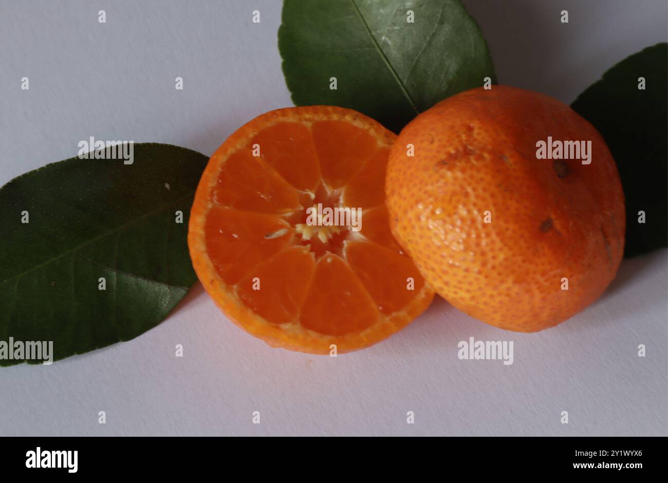 A vibrant citrus fruit, the bitter orange stands out against a stark ...