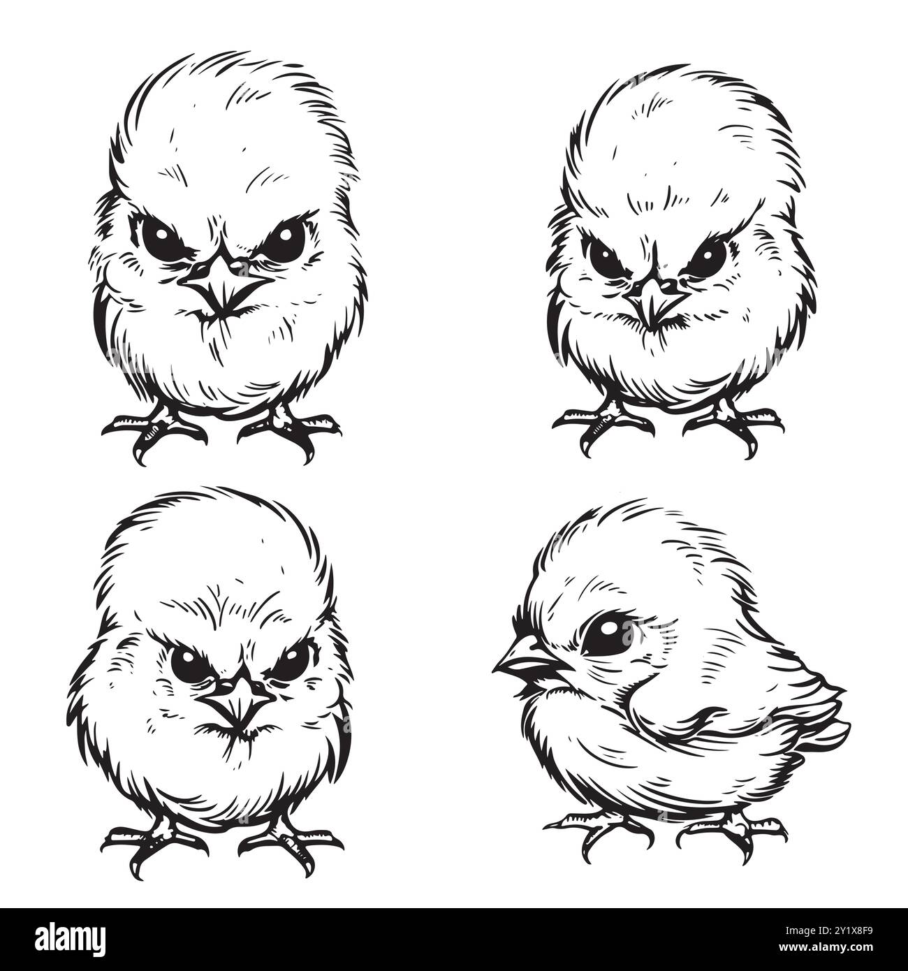 Angry Chick set. Doodle Adorable Minimalist Chicken Cartoon Vector ...