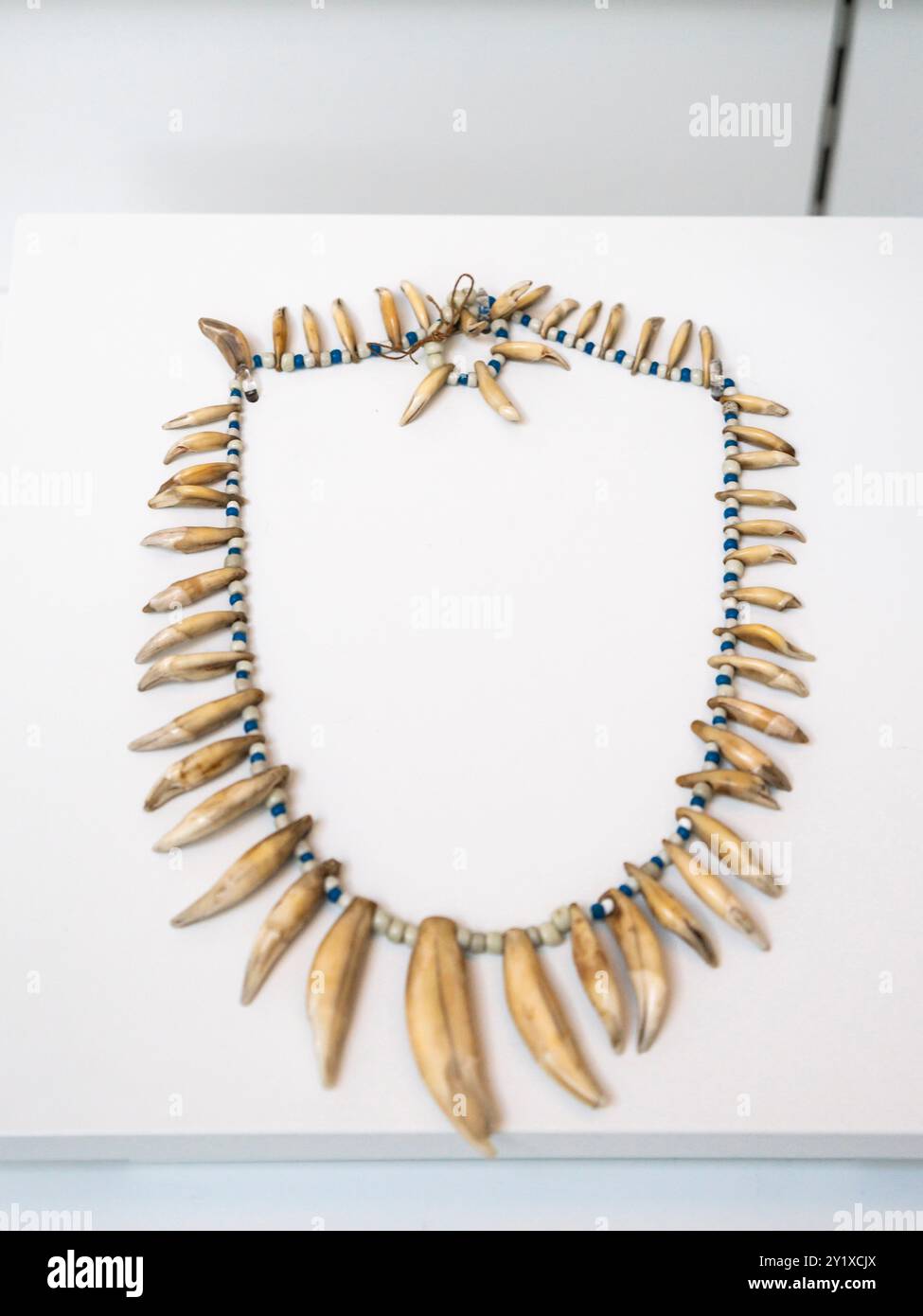 Male necklace, nai, Shuar culture, Amazon, Ecuador, collected in 1865 ...