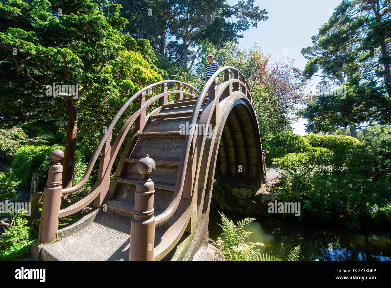 Japanese Garden San Francisco round bridge and surrounding trees Stock ...