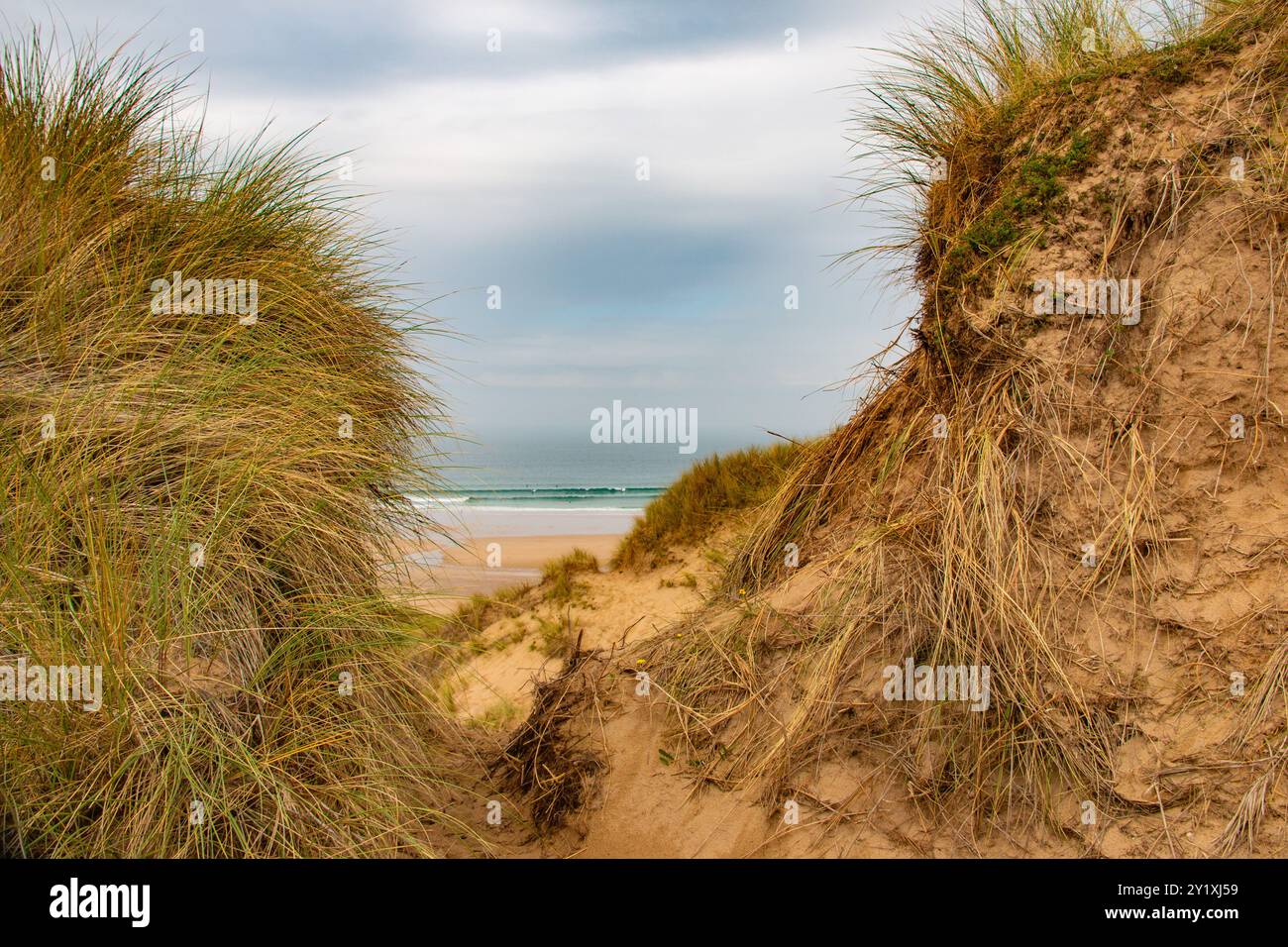 Gull Rocks in Holywell Bay, nr Newquay, Cornwal, UK Stock Photo - Alamy