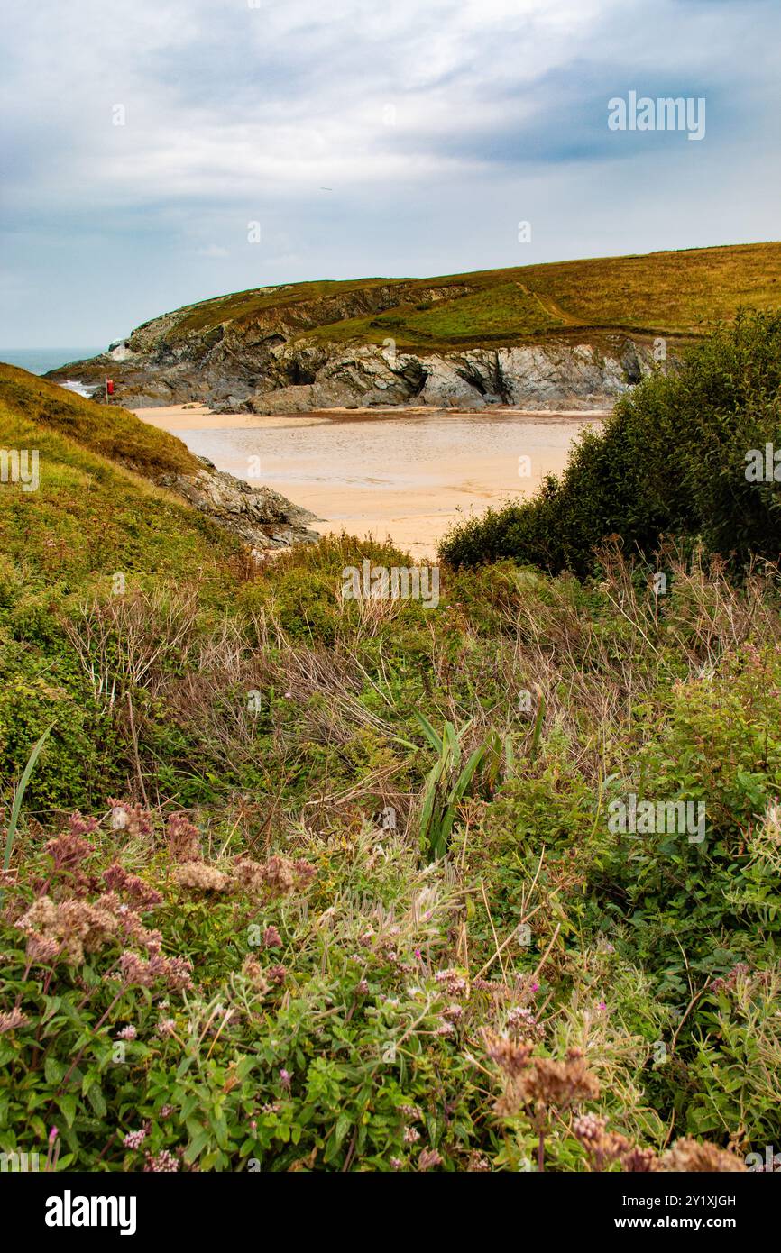 Gorgeous Cornish Coastal Path at Crantock, Cornwall Stock Photo - Alamy