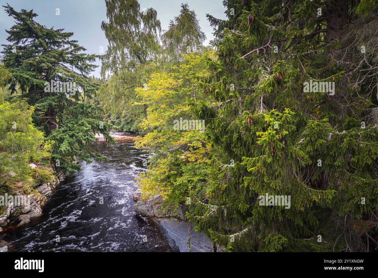 A dull, summer HDR image of the River Feshie and some autumnal colour ...