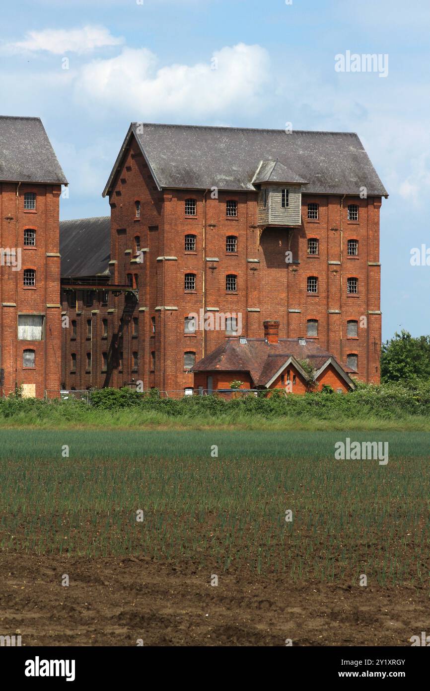 The abandoned, Grade II listed Bass Maltings disused malt house ...
