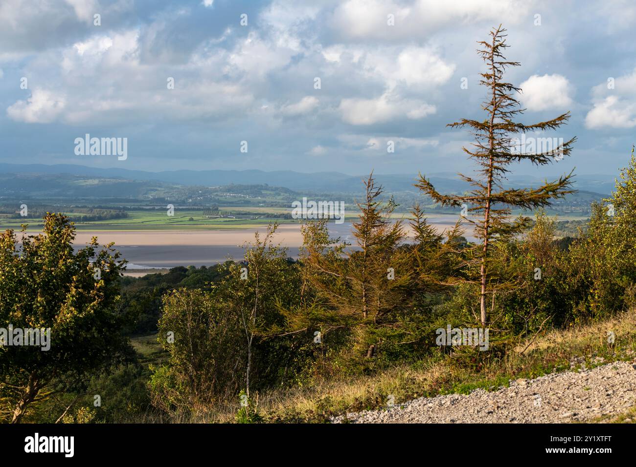 View from Arnside Knott of the estuary of the river Kent, Cumbria ...