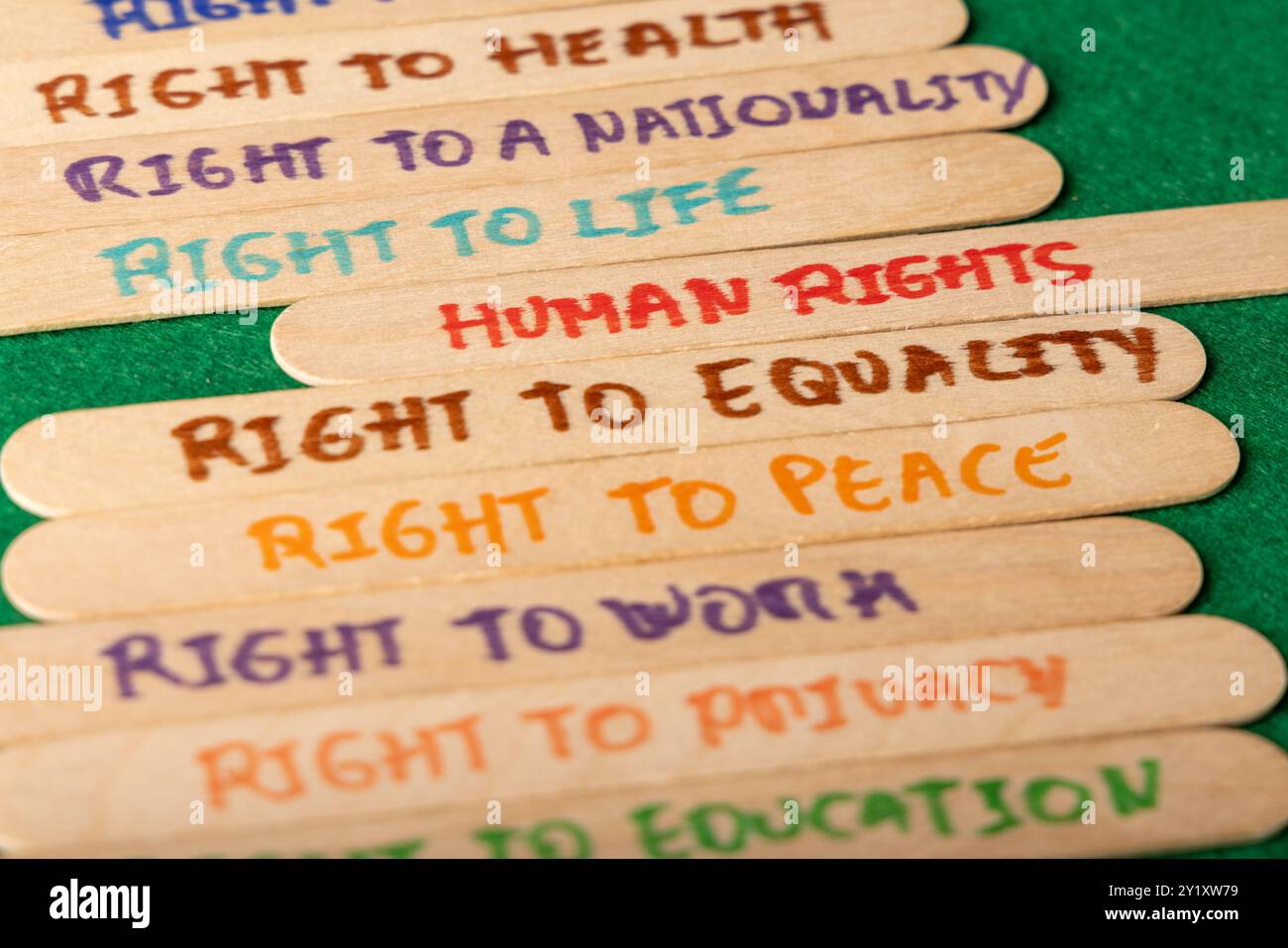A set of wooden popsicle sticks, inscribed with words representing ...
