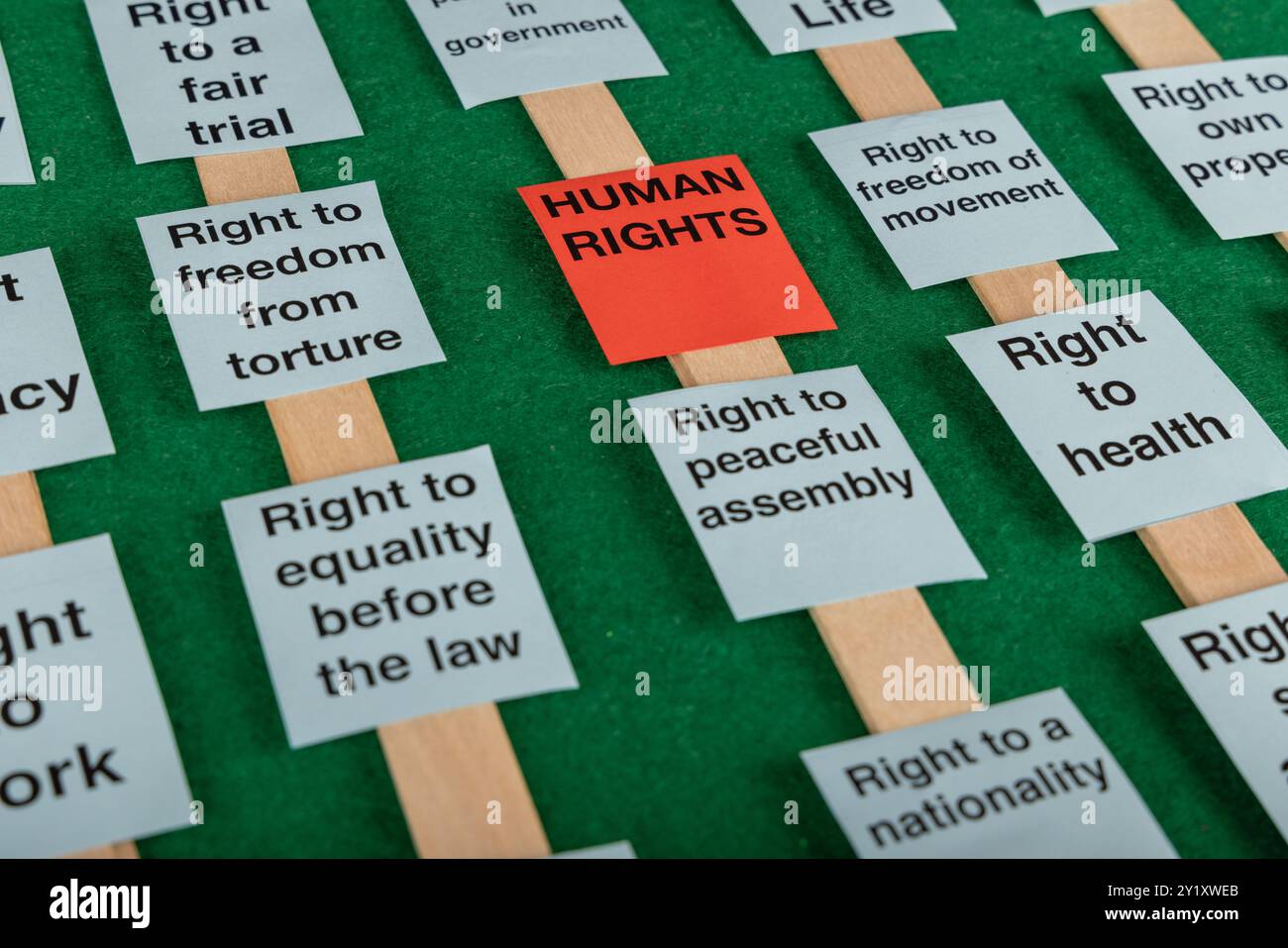 A horizontal image showing various human rights signs on a green ...