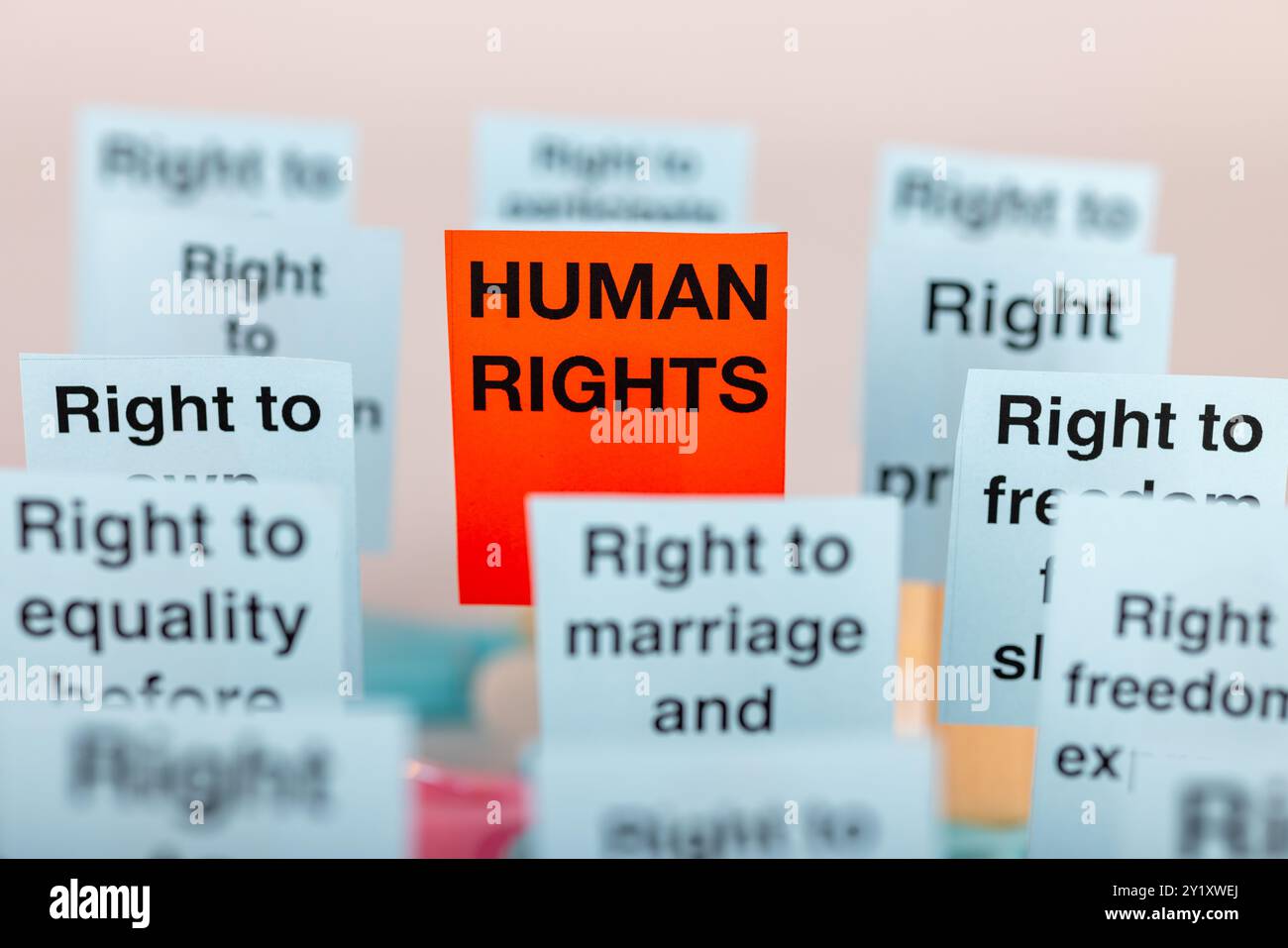 Features human rights posters in blue and red on a clean white ...