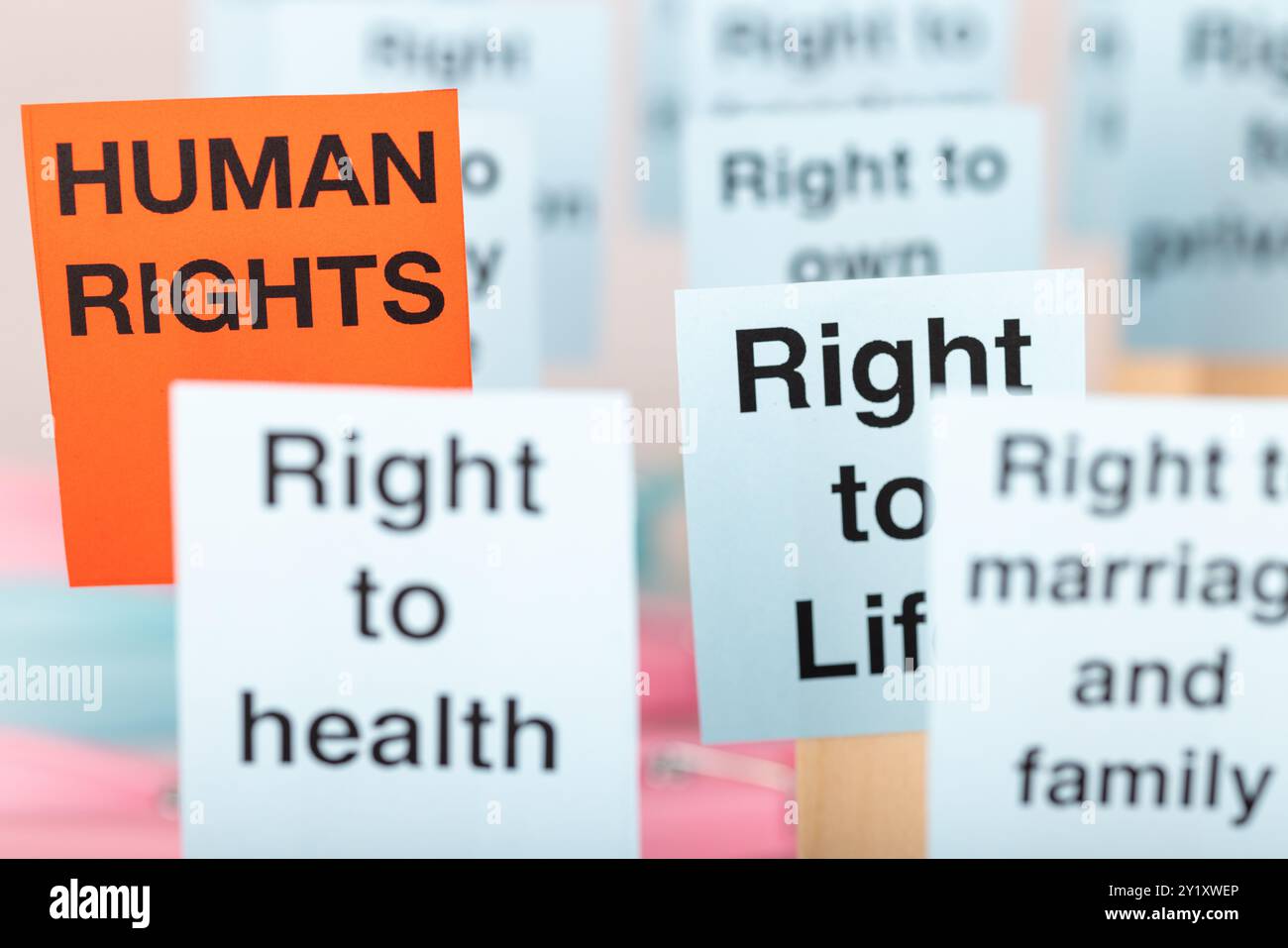 A horizontal image of human rights signs in light blue and red ...