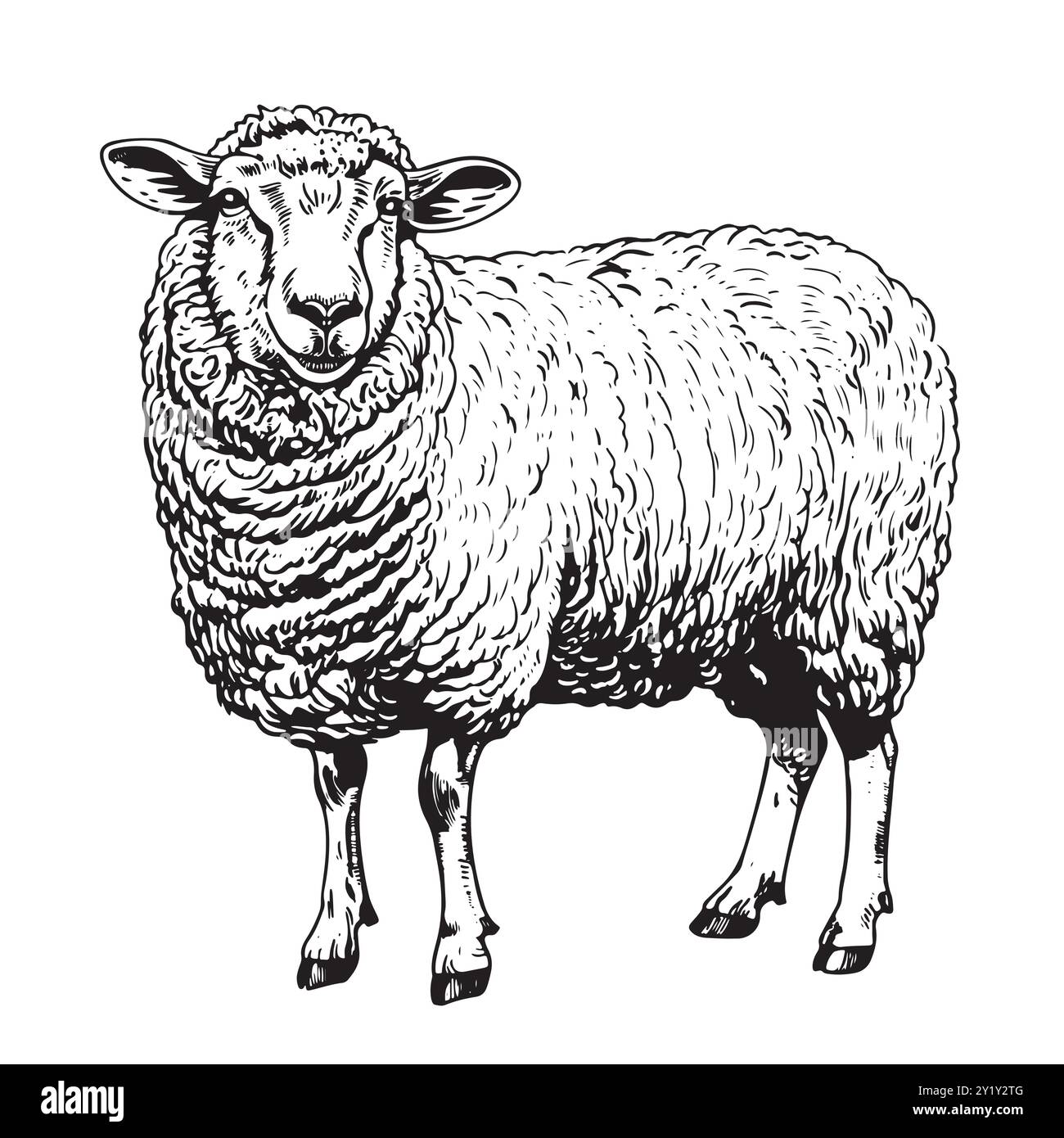 Sheep sketch hand drawn in doodle style Vector illustration Stock ...