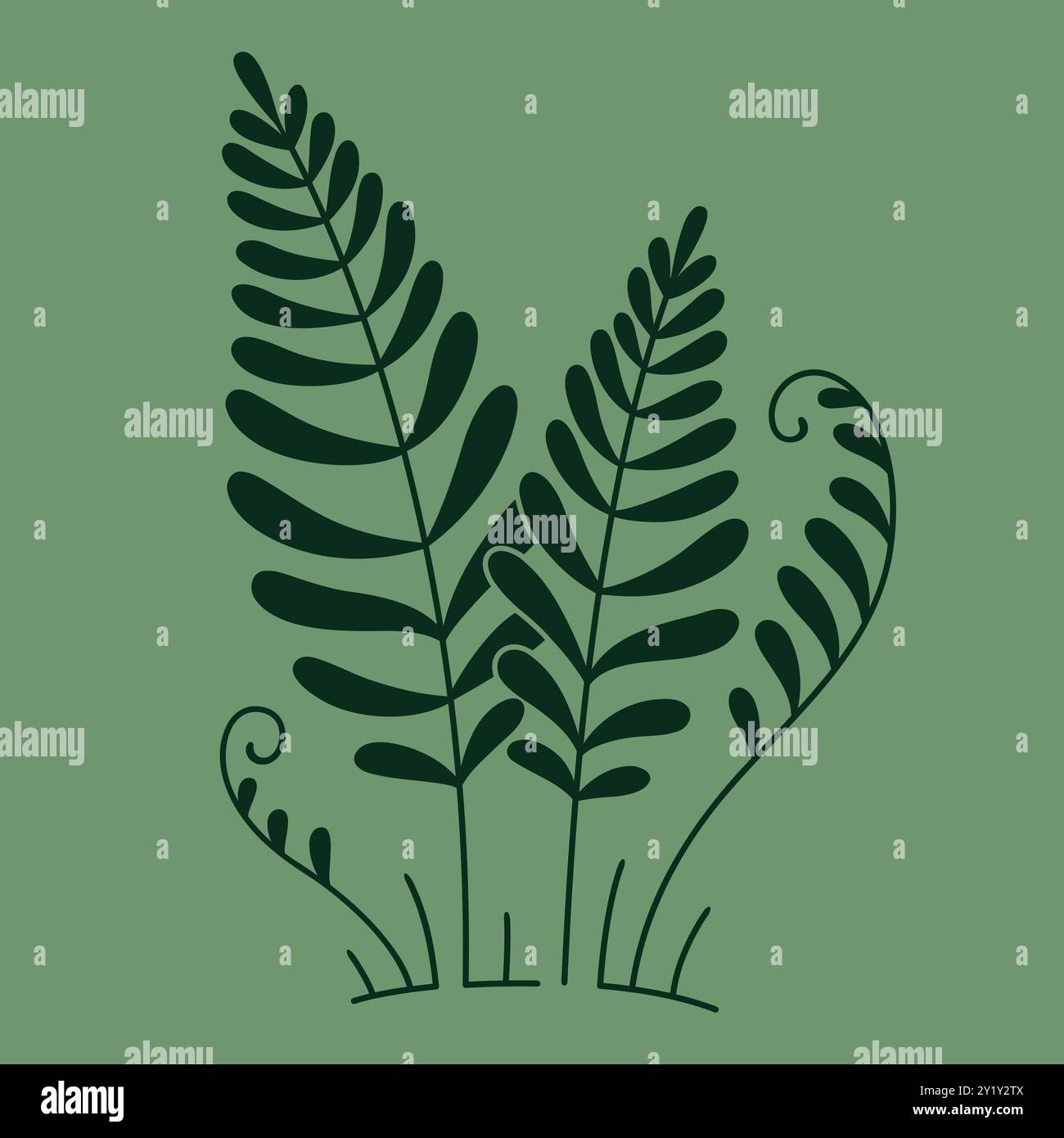 Fern plant doodle drawing. Simple green monochrome silhouette, vector ...