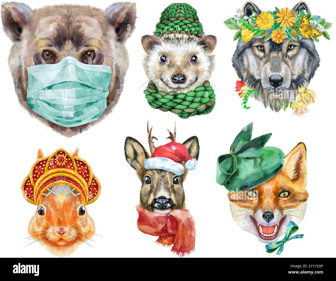 Portraits of wild animals of Eurasia. Bear, wolf, fox, roe deer ...