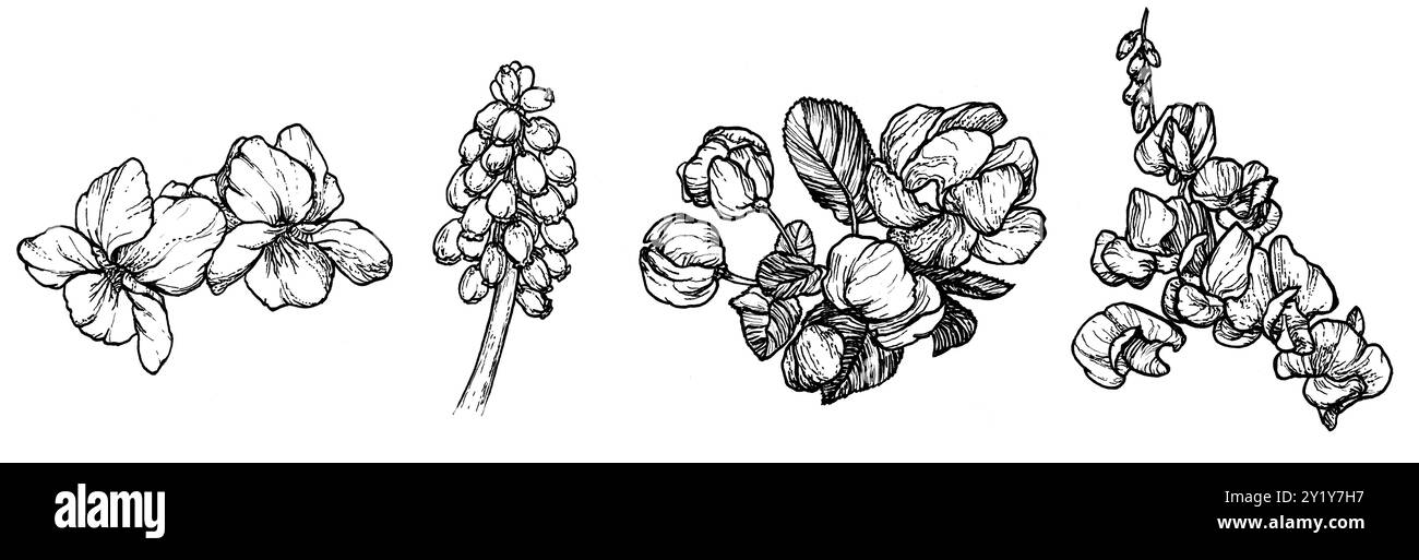 Doodle drawings flowers Black and White Stock Photos & Images - Alamy