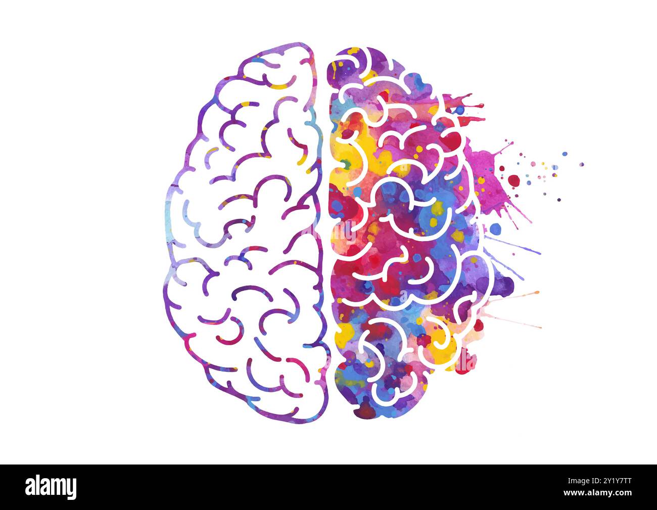 Two hemispheres brain illustration hi-res stock photography and images ...