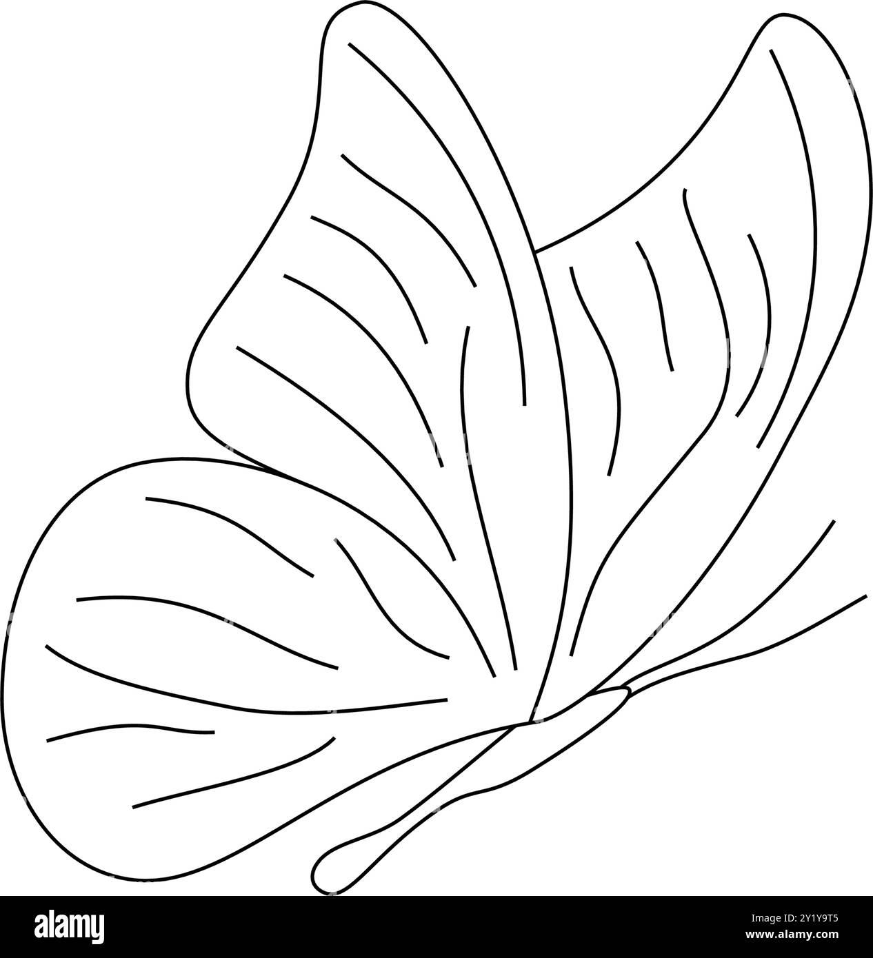 butterfly silhouette set. butterfly vector illustration. butterfly isolated vector on white ...