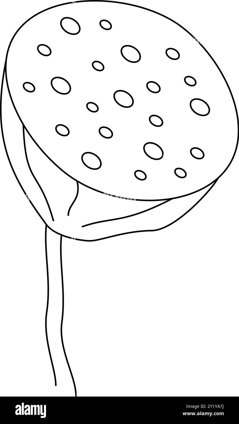 Lotus seed isolated outline icon. Vector organic healthy food thin line ...