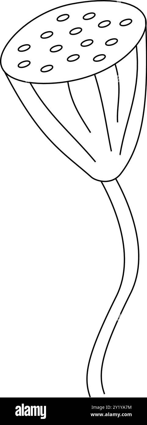 Water lily isolated on Stock Vector Images - Alamy