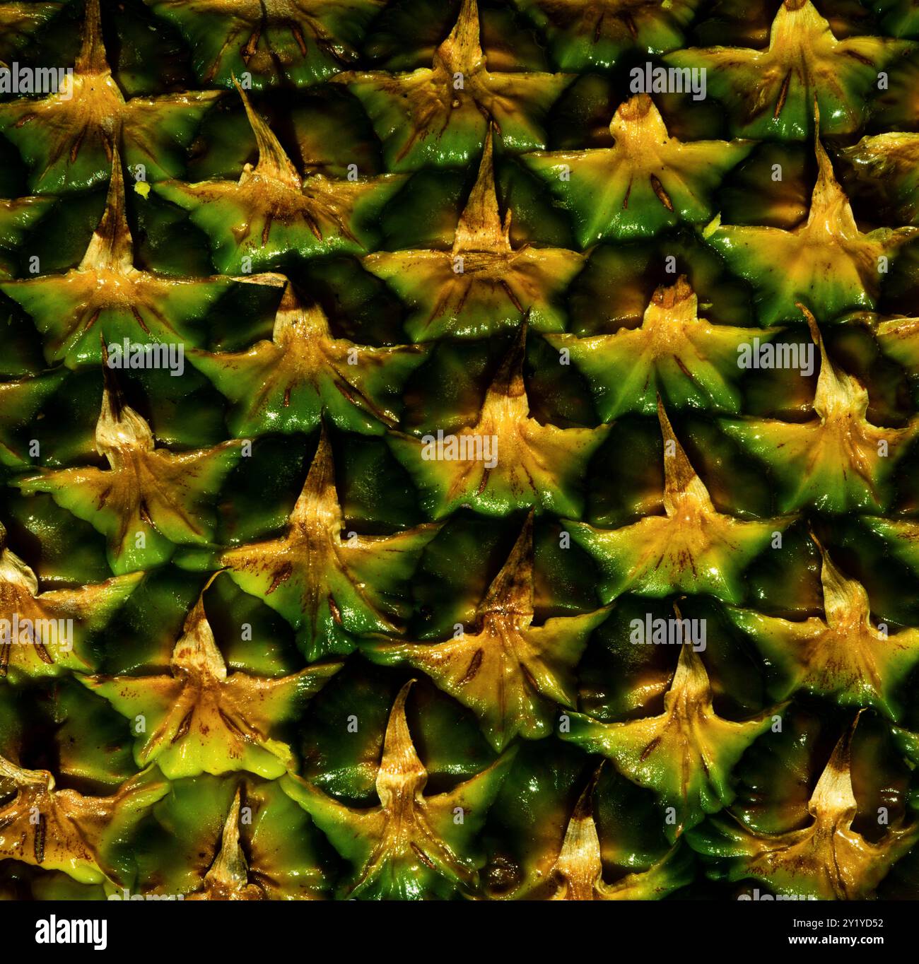 Close-up of the pineapple peel texture. Pineapple bark. Pineapple ...