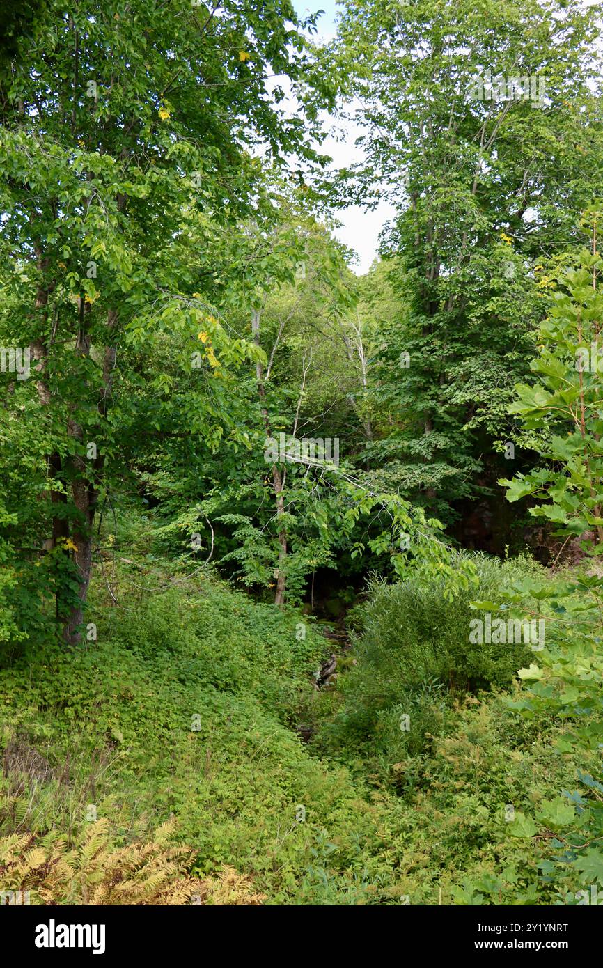 Almost 400 year old Billnäs village by Svartå - Mustionjoki river ...