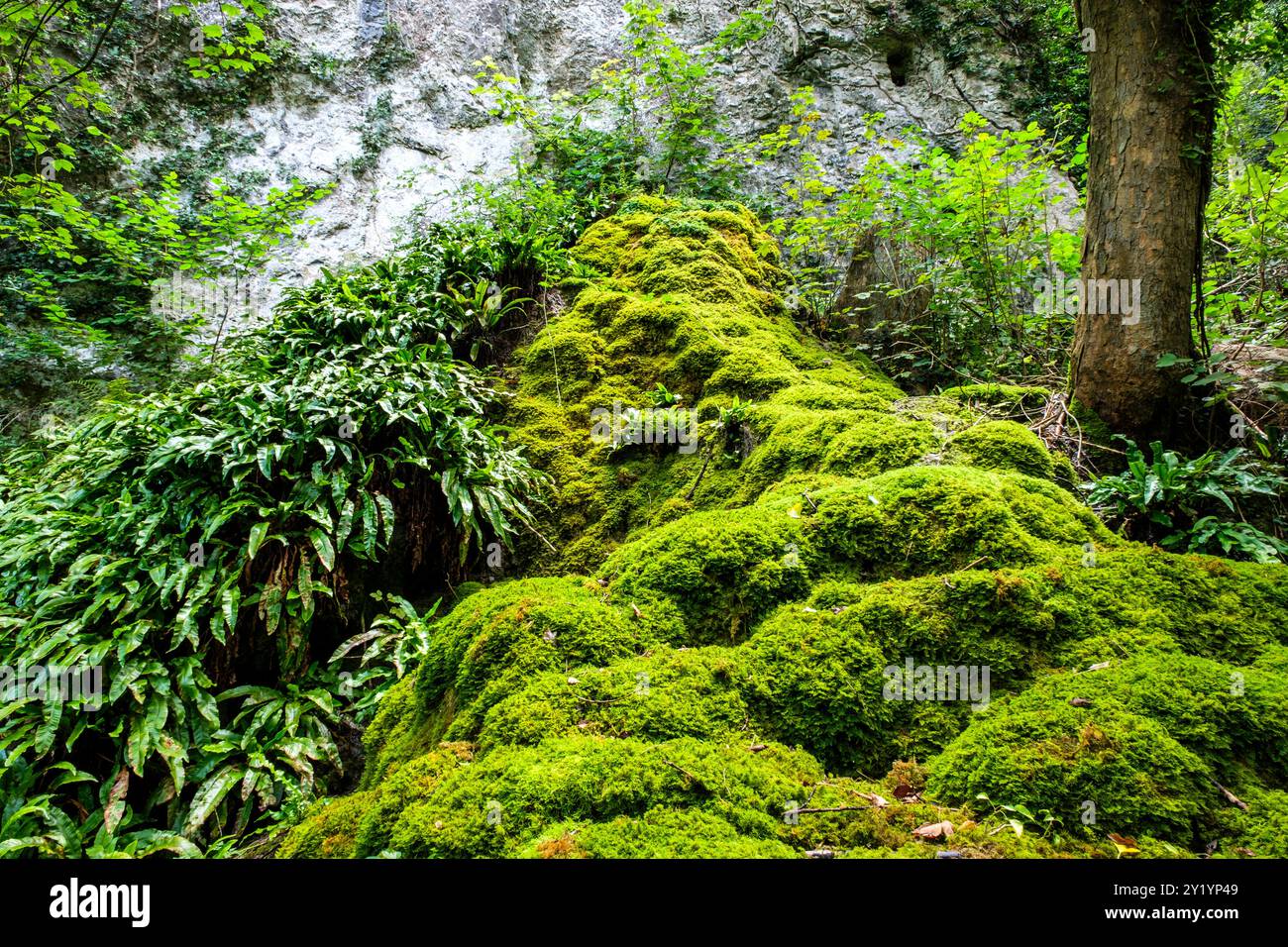 The natural reserve, the cliffs and the village of Comblain-au-pont ...