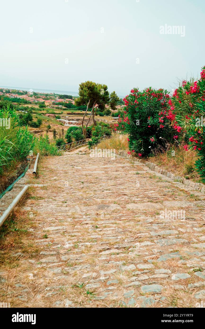 Archaeological Park of Velia,Salerno,Campania,Italy Stock Photo - Alamy
