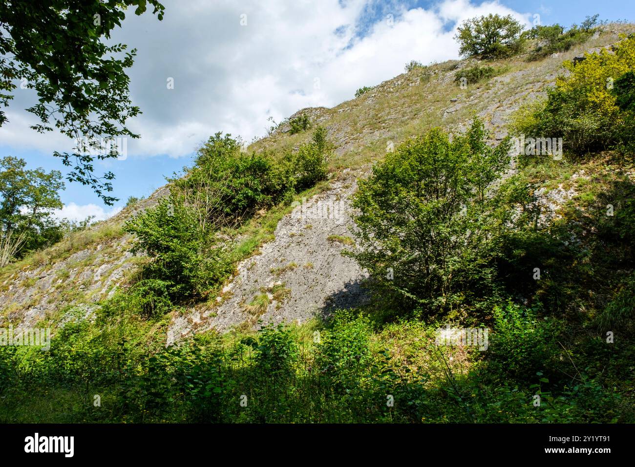Maupas limestone slab hi-res stock photography and images - Alamy