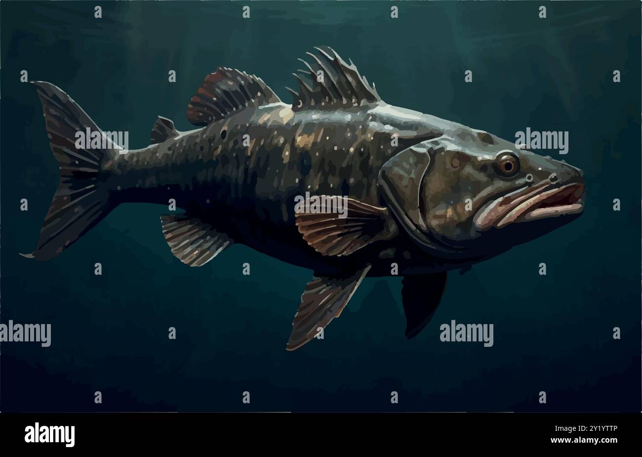 Tracking the Amazon’s Apex Predator Piraíba Catfish Stock Vector Image ...